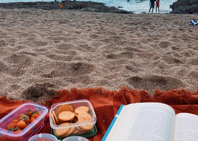 Visit South Devon - Official South Devon Tourist Website