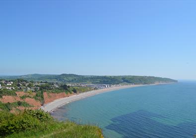 Visit South Devon - Official South Devon Tourist Website
