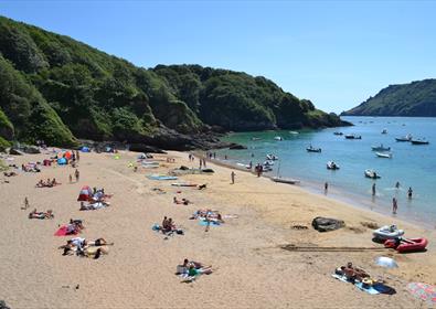 Visit South Devon - Official South Devon Tourist Website
