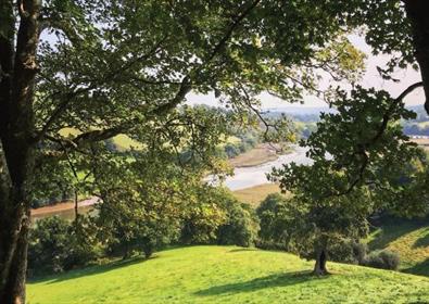 Visit South Devon - Official South Devon Tourist Website