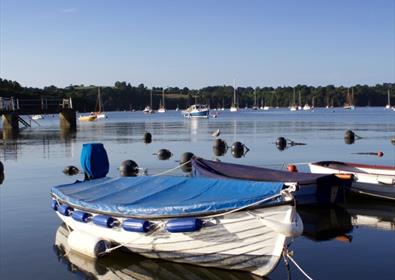 Visit South Devon - Official South Devon Tourist Website