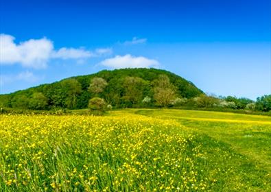 South Devon Accommodation - Where to Stay in South Devon