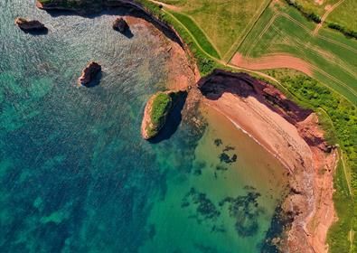 Visit South Devon - Official South Devon Tourist Website