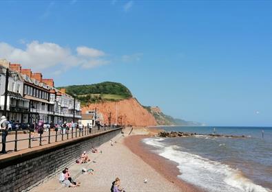 Visit South Devon - Official South Devon Tourist Website