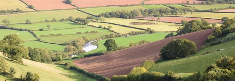 Places in South Devon - visitsouthdevon.co.uk