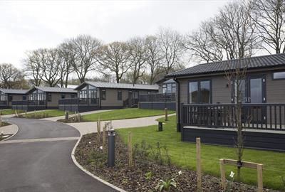 South Devon Accommodation - Where to Stay in South Devon