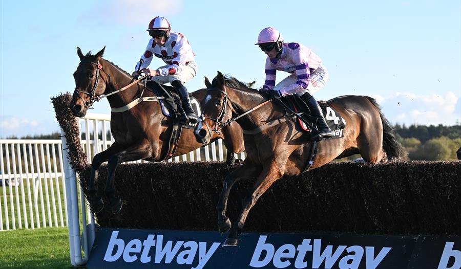 Exeter Racecourse - Visit South Devon