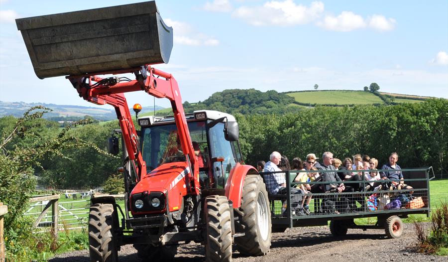 Pennywell Farm - Visit South Devon