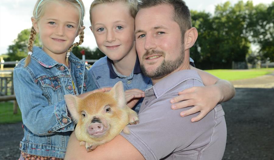 Pennywell Farm - Visit South Devon