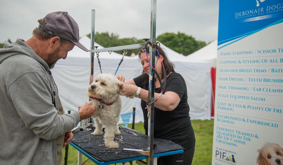Axe Vale Show - Visit South Devon