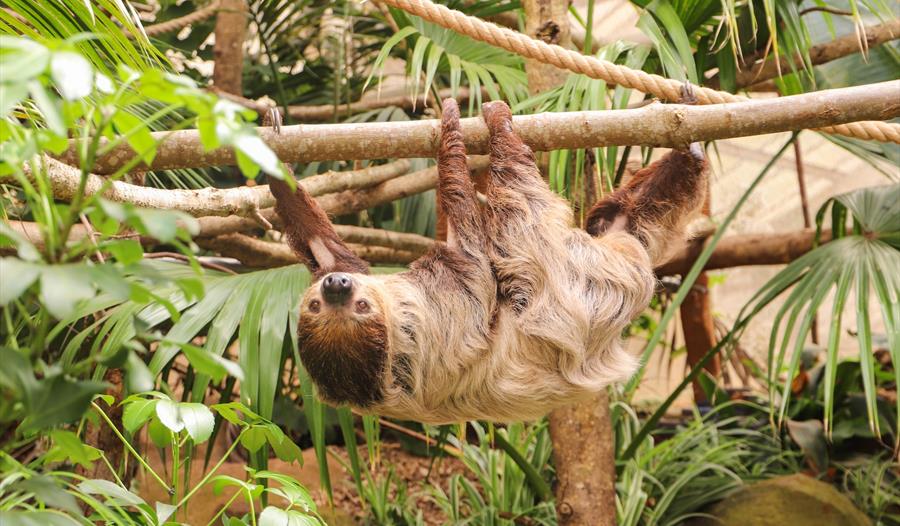 Paignton Zoo Environmental Park - Visit South Devon