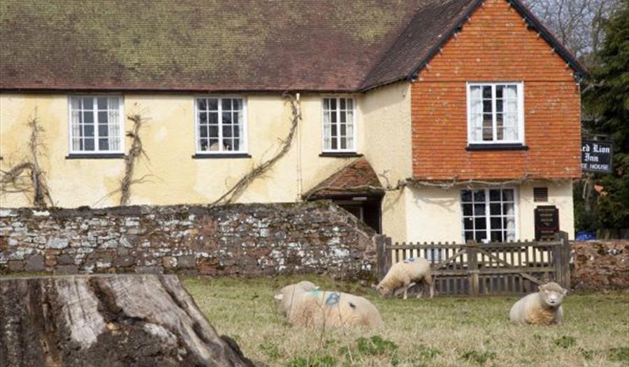 Broadclyst - Visit South Devon