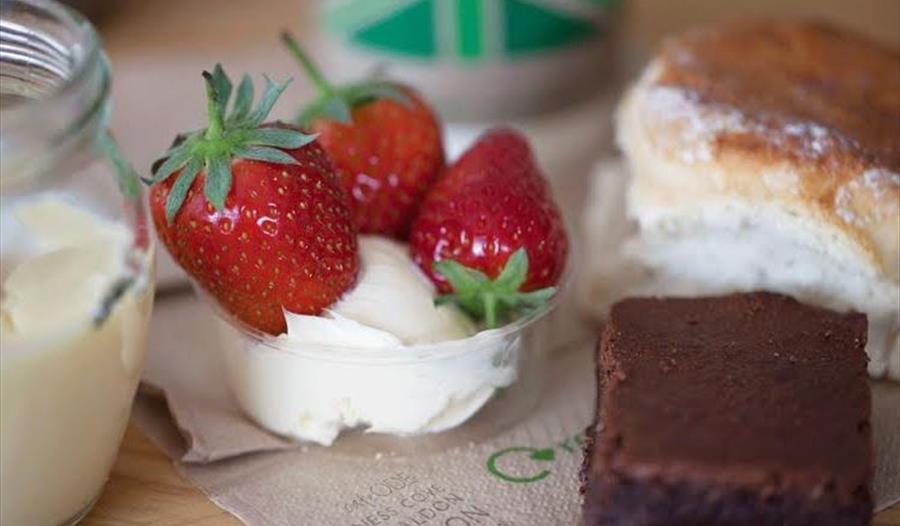 cafe-ODE at Ness Cove - Shaldon - Visit South Devon