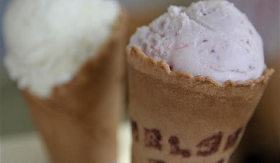 cafe-ODE at Ness Cove - Shaldon - Visit South Devon