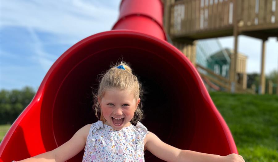 Pennywell Farm - Visit South Devon