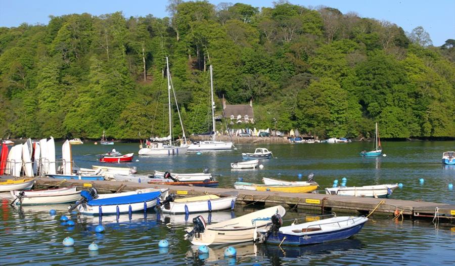 South Devon National Landscape - Visit South Devon