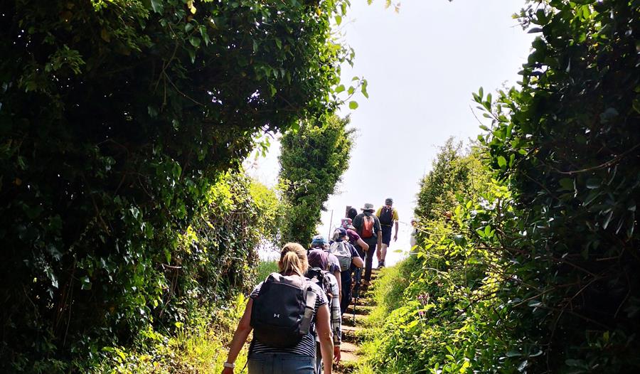 English Riviera Walking Festival - Visit South Devon