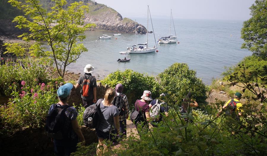 English Riviera Walking Festival - Visit South Devon