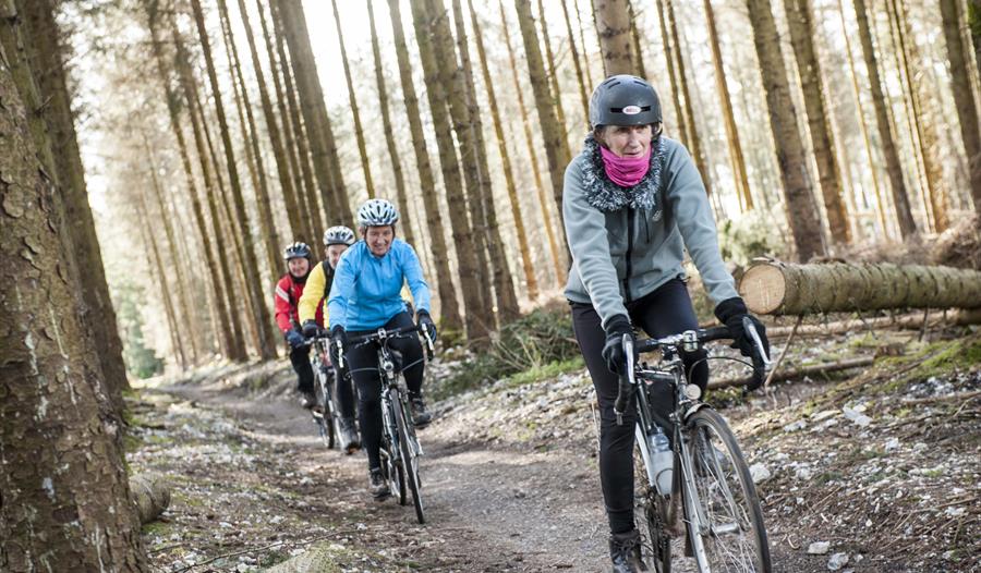 Haldon Forest Cycle Trails - Visit South Devon