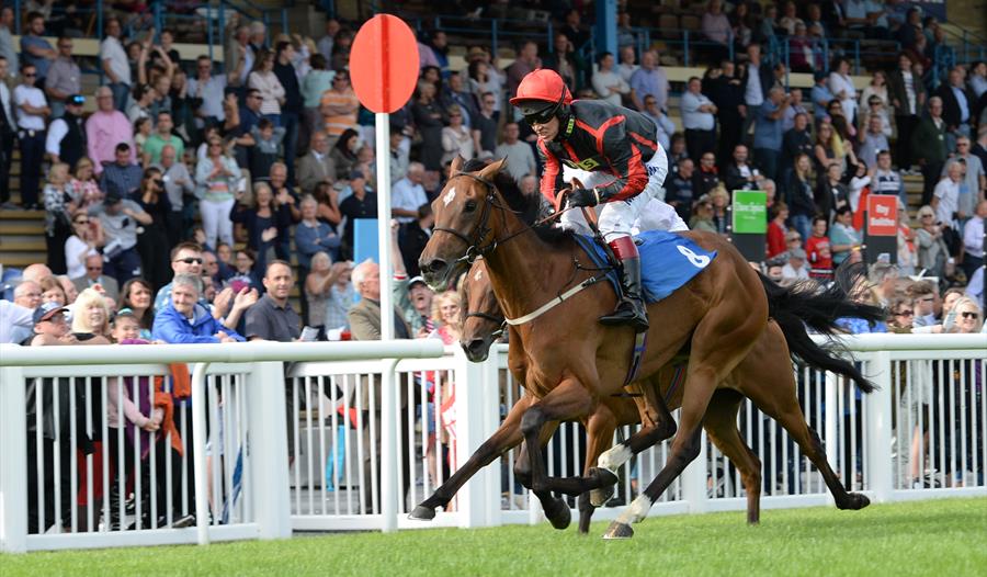 Newton Abbot Racecourse - Visit South Devon