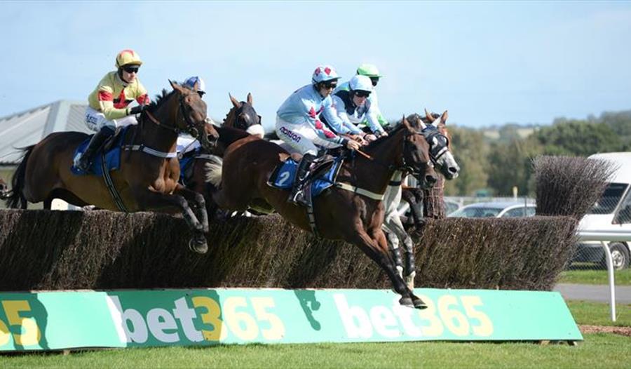 Newton Abbot Racecourse - Visit South Devon