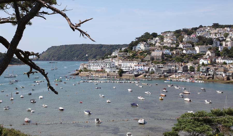 Salcombe - Visit South Devon