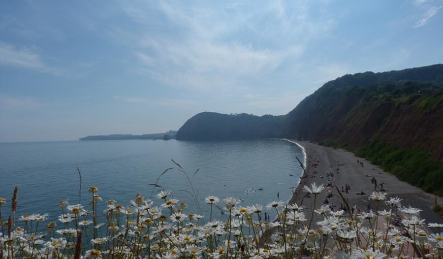Jacob's Ladder Beach - Visit South Devon