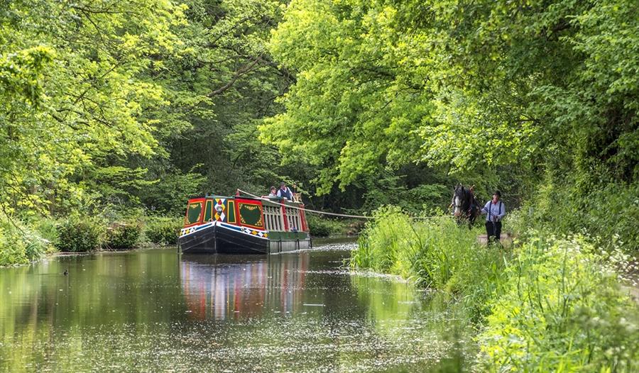 Grand Western Canal - Visit South Devon