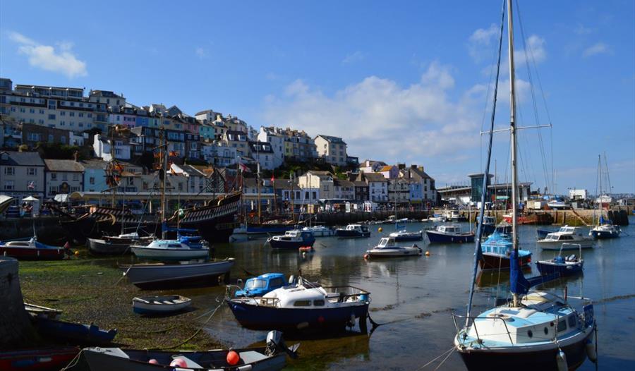 Brixham - Visit South Devon