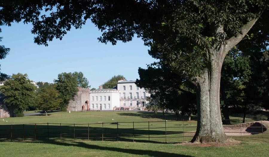 Torre Abbey - Torquay - Visit South Devon