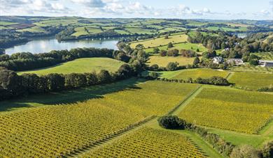 Ipplepen - Visit South Devon