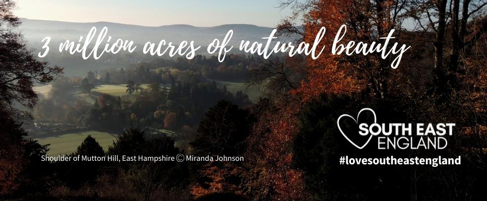 Visit South East England | Holidays, Destinations & Tourism Info