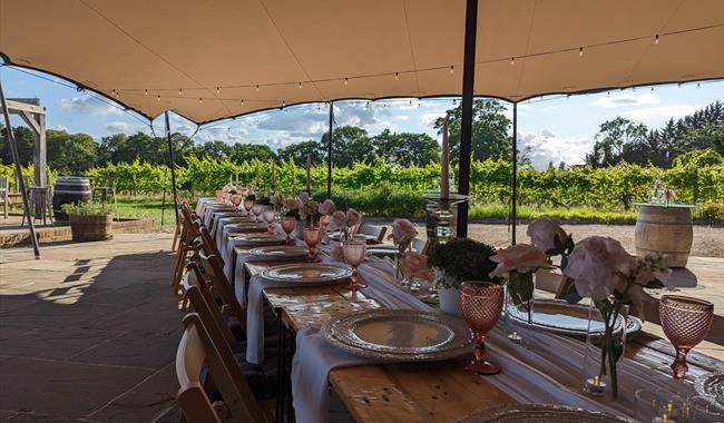 Oaken Grove Vineyard - Vineyard in Henley-on-Thames, Oxfordshire ...