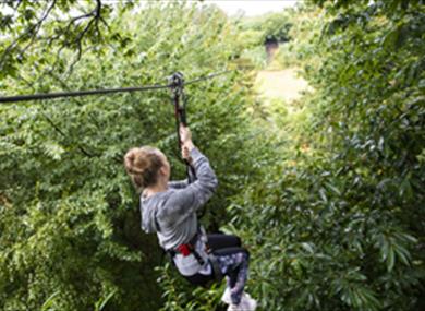 Go Ape Leeds Castle - Climbing / High Ropes in Maidstone, Maidstone ...