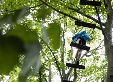 Go Ape Black Park - Climbing / High Ropes in Slough, Buckinghamshire ...