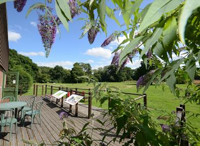 Rockbourne Roman Villa - Historic Site in Fordingbridge, New Forest ...