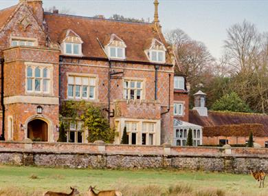 Burley - Towns & Villages in Burley, New Forest - Visit South East England