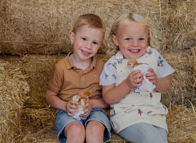 Longdown Activity Farm - Wildlife in Southampton, Southampton - Visit ...