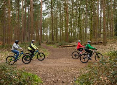 Go Ape Black Park - Climbing / High Ropes in Slough, Buckinghamshire ...