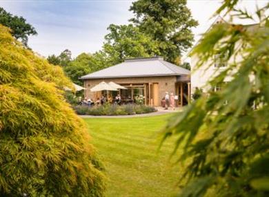 Sir Harold Hillier Gardens - Tea Room/Coffee Shop in Romsey, Test ...