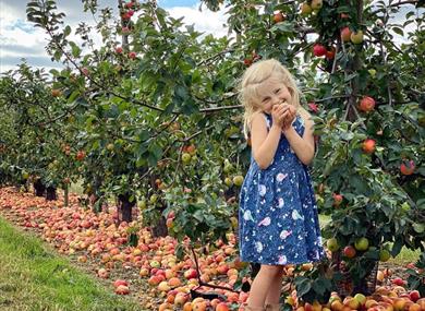 Brogdale Collections - Garden in Faversham, Swale - Visit South East ...