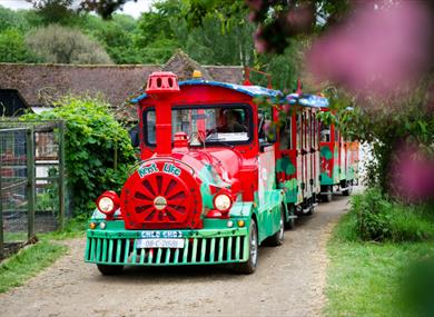 Kent Life Heritage Farm Park - Farm in MAIDSTONE, Maidstone - Visit ...