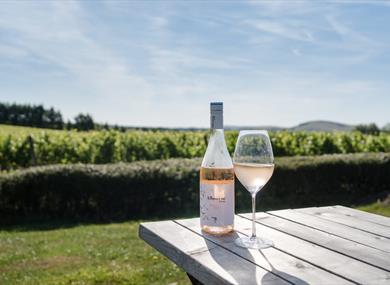 Albourne Estate Vineyard - Vineyard in Albourne, Brighton and Hove ...