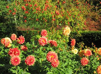 1066 Country - Towns & Villages in East Sussex - Visit South East England