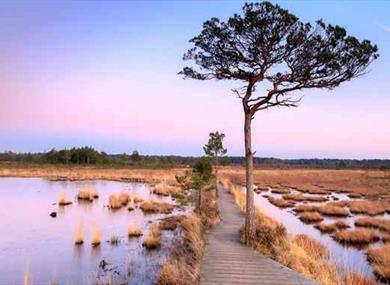 Visit Waverley - Rural Destinations in Waverley - Visit South East England