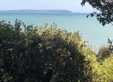 Highcliffe Beach - Beach in Christchurch, Christchurch - Visit South ...