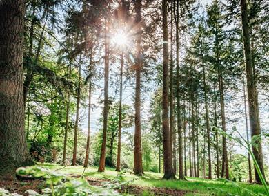 Wasing Estate - Event Venue in Berkshire - Visit South East England