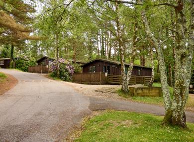 Warmwell Holiday Park - Static Units in Weymouth, Purbeck - Visit South ...