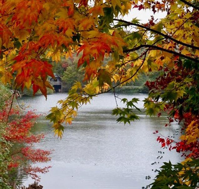 Visit Surrey: The official tourism website for Surrey