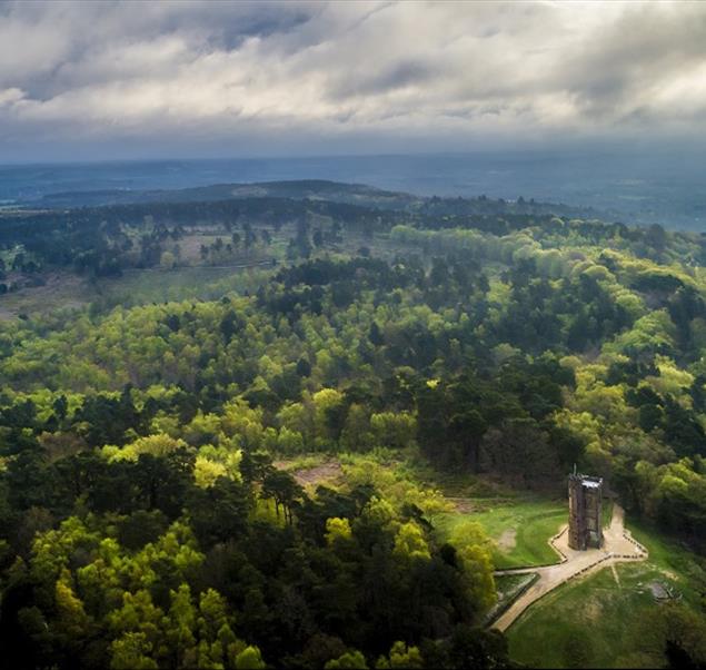 Explore the Surrey Countryside - Visit Surrey